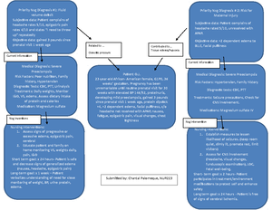 OB VSims Oliva Jones Reflections - Maternity Case 2: Olivia Jones ...
