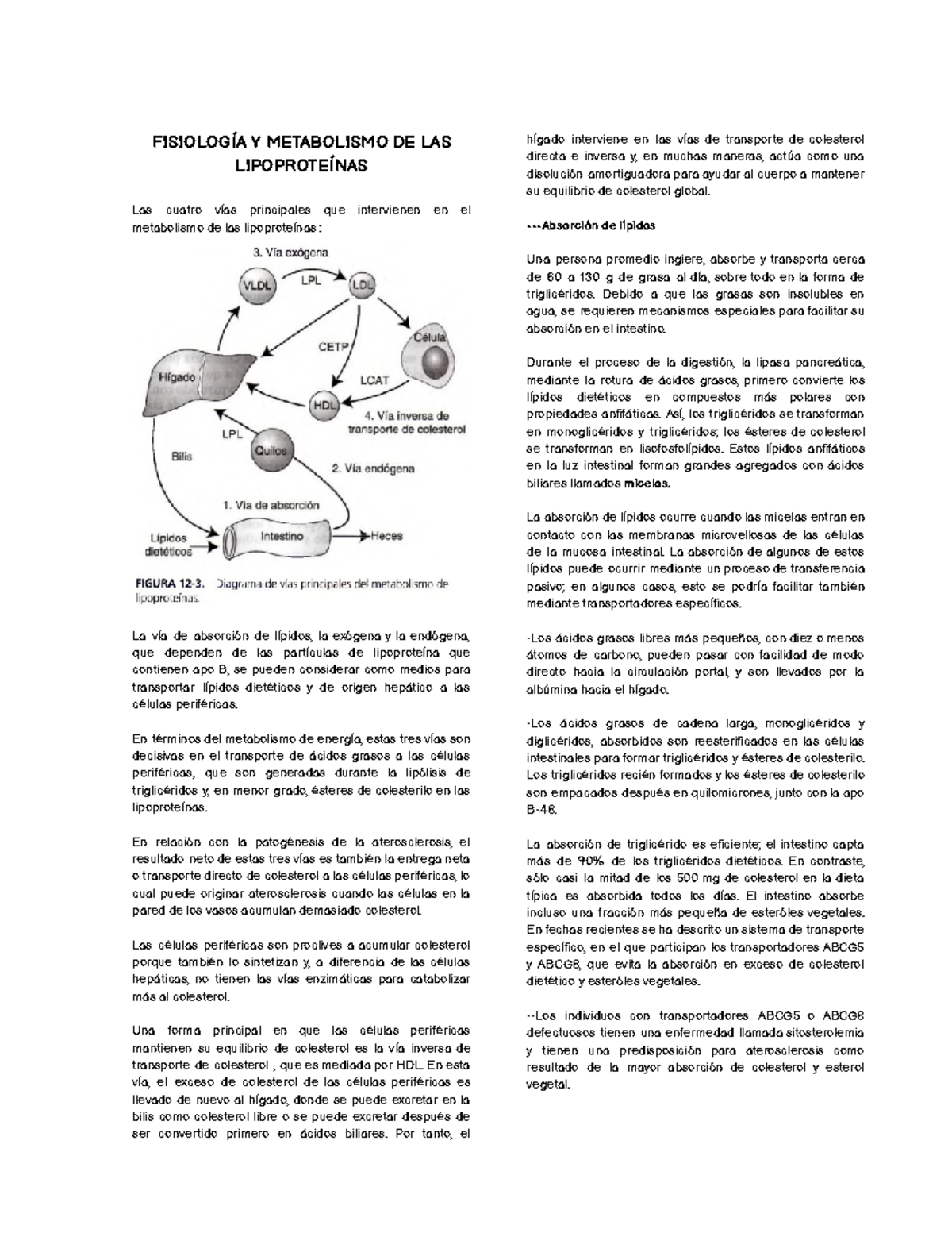 Resumen bioca - FISIOLOGÍA Y METABOLISMO DE LAS LIPOPROTEÍNAS Las ...