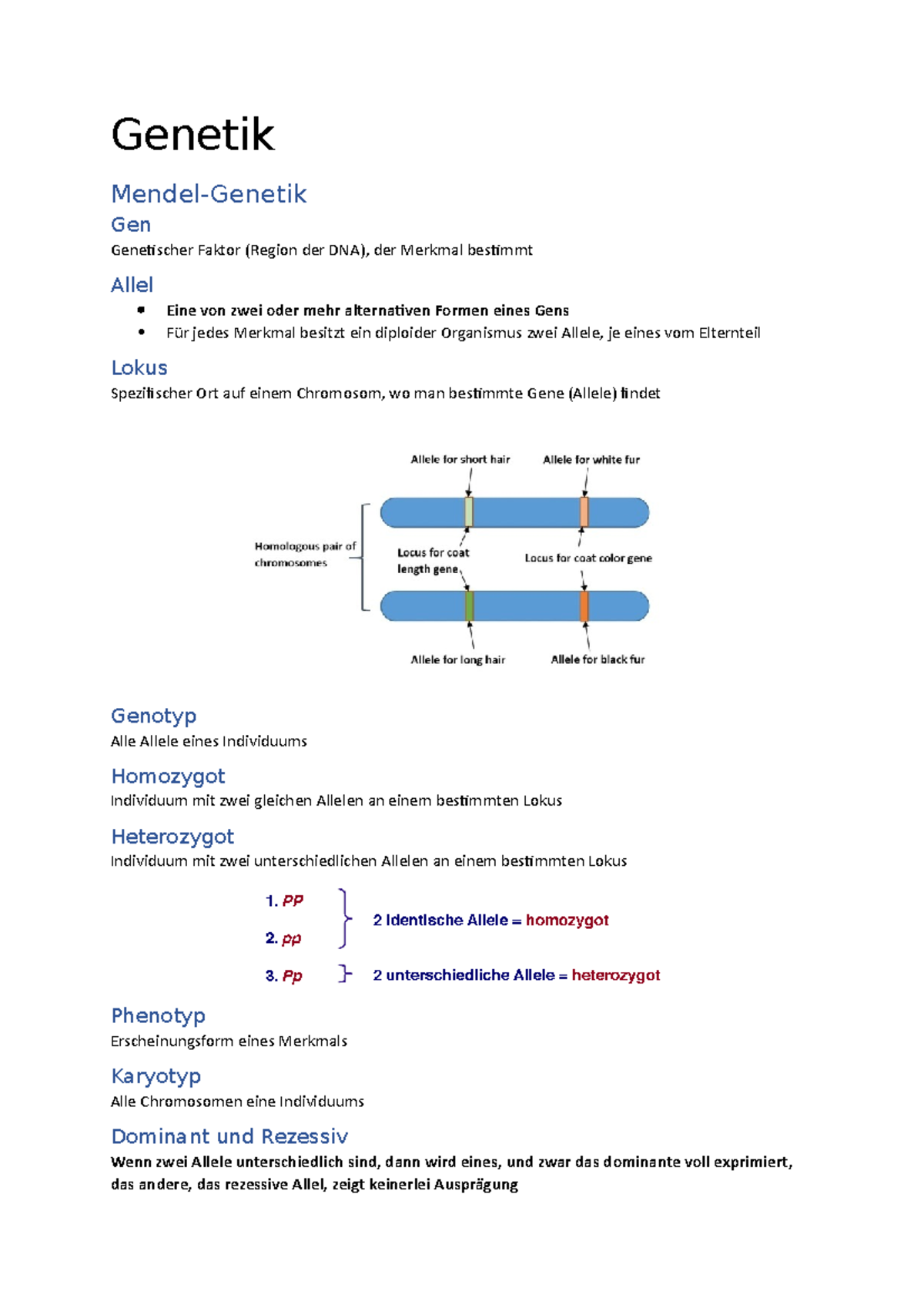 Teil 2: Genetik - Genetik Mendel-Genetik Gen Genetischer Faktor (Region ...