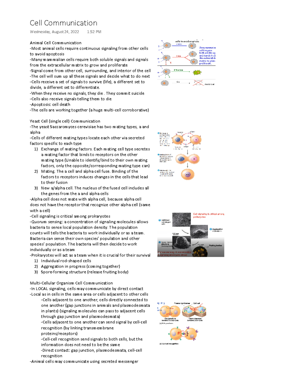 BIO 102 Campbell Chapter 11 - Animal Cell Communication -Most animal ...