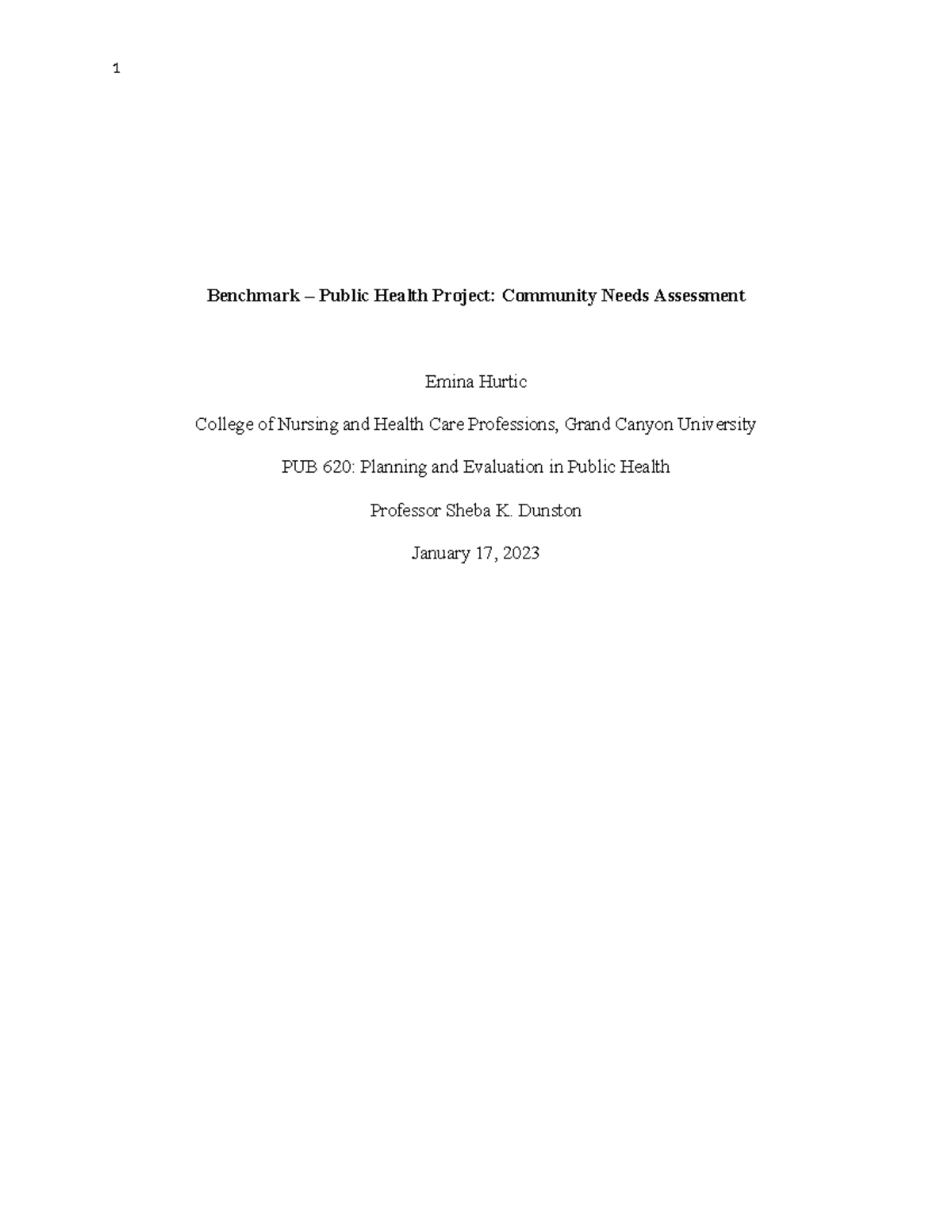 Benchmark - Community Needs Assessment - Benchmark – Public Health ...