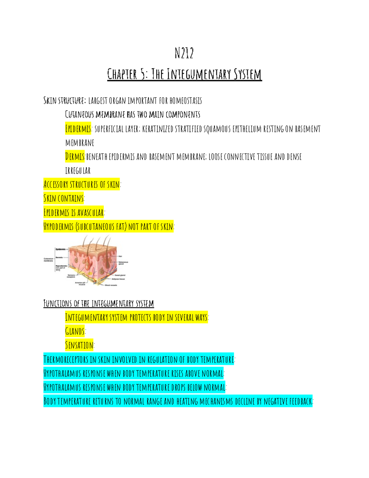 Bio- N212 Ch. 5 - Lecture notes 5 - N Chapter 5: The Integumentary ...