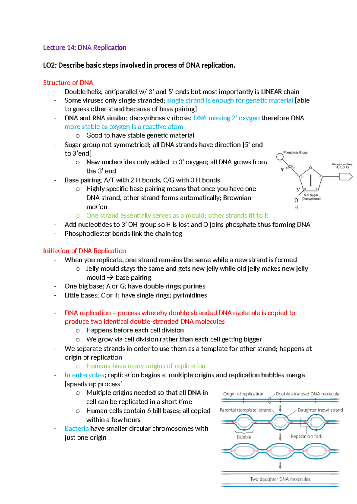 BABS Lec 14 DNA Replication - Lecture 14: DNA Replication LO2: Describe ...