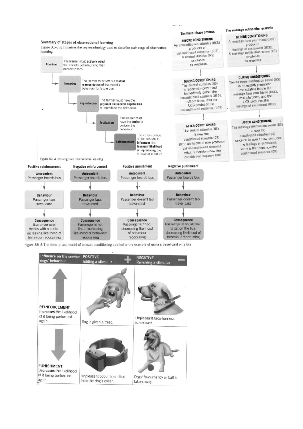 Models of Learning: Observational Learning & Conditioning Diagrams - The message notification ...