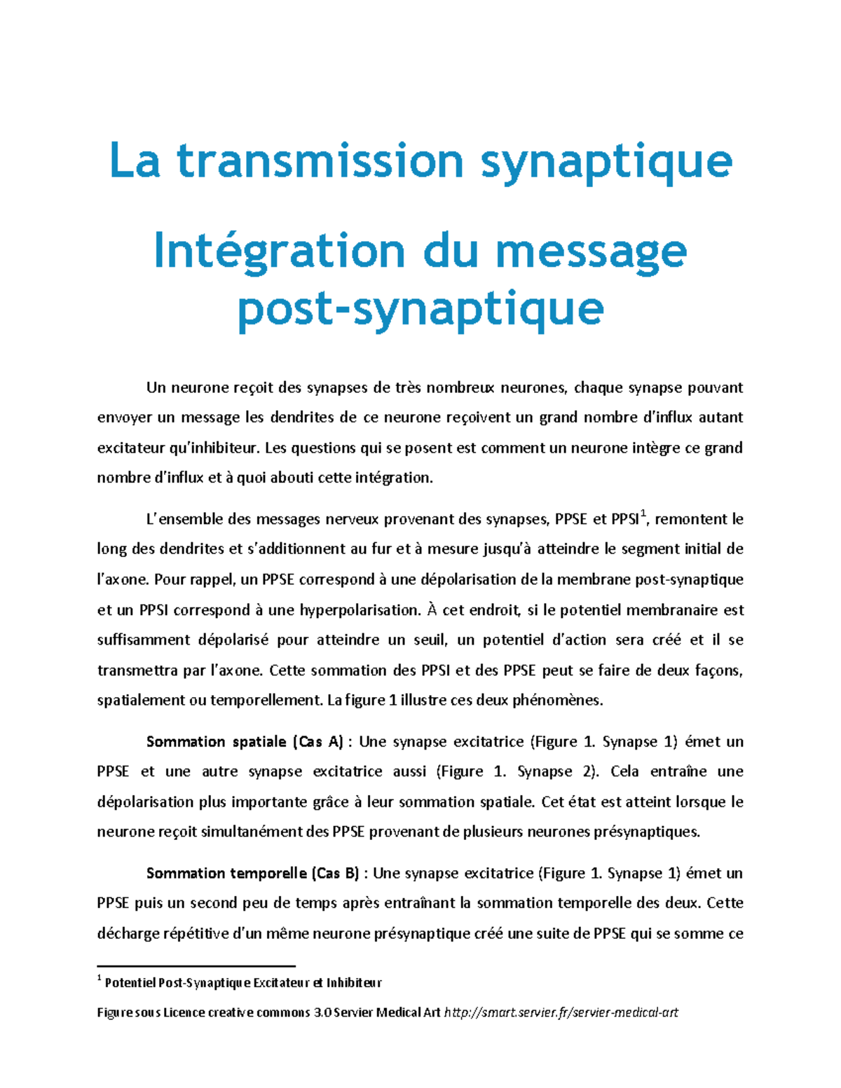 La transmission synaptique intégration du message post-synaptique - La ...