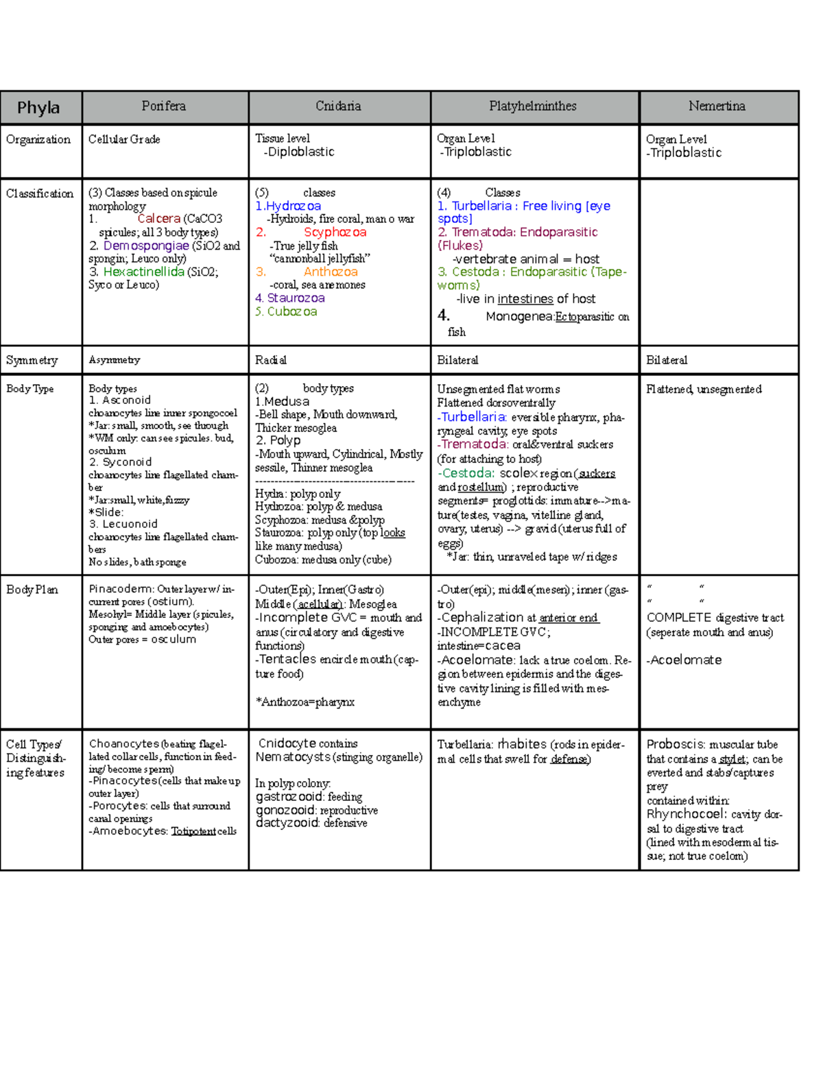 Phyla feature chart -1 - Phyla Porifera Cnidaria Platyhelminthes ...