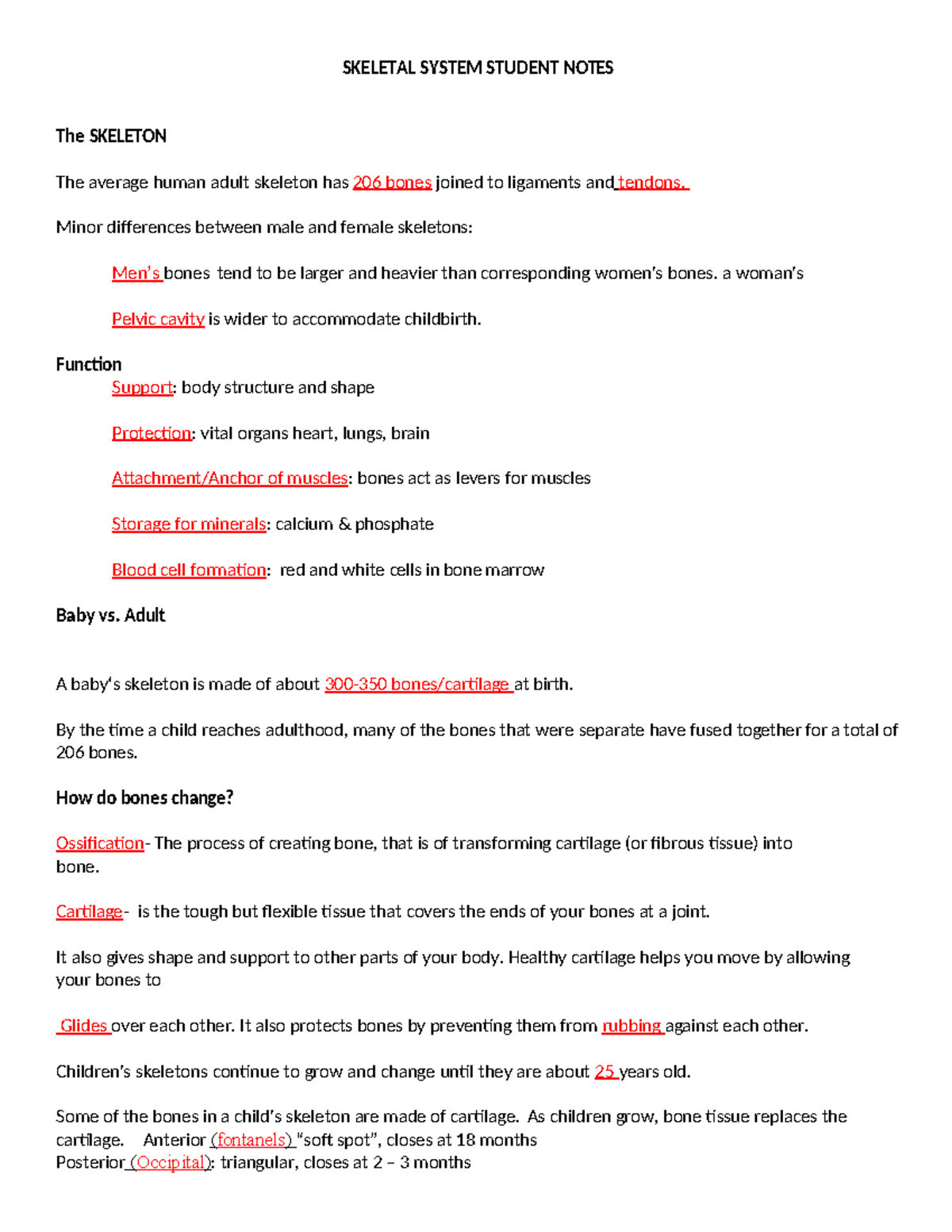 Skeletal Student Notes - SKELETAL SYSTEM STUDENT NOTES The SKELETON The ...