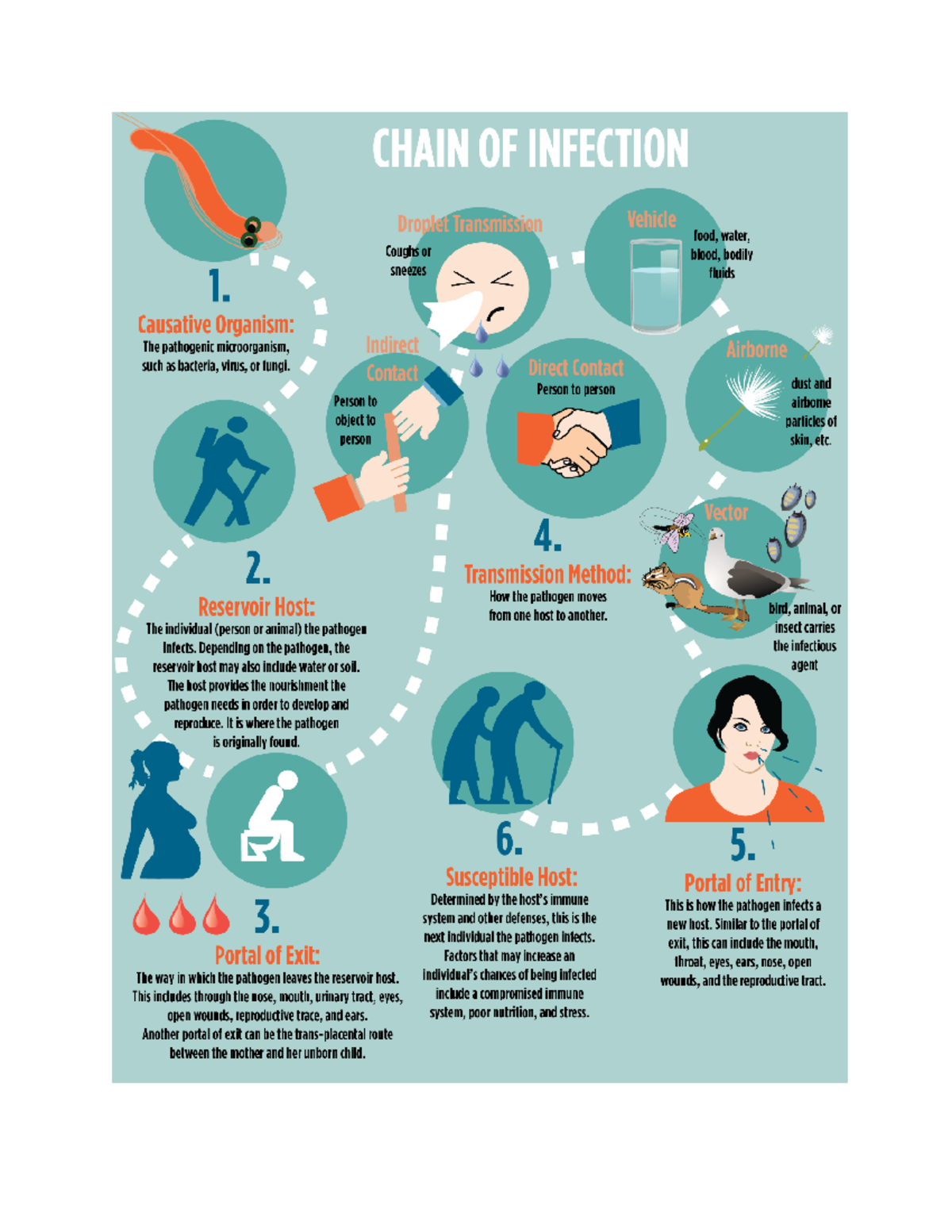 COI.Breaking the Chain Infographic - Studocu