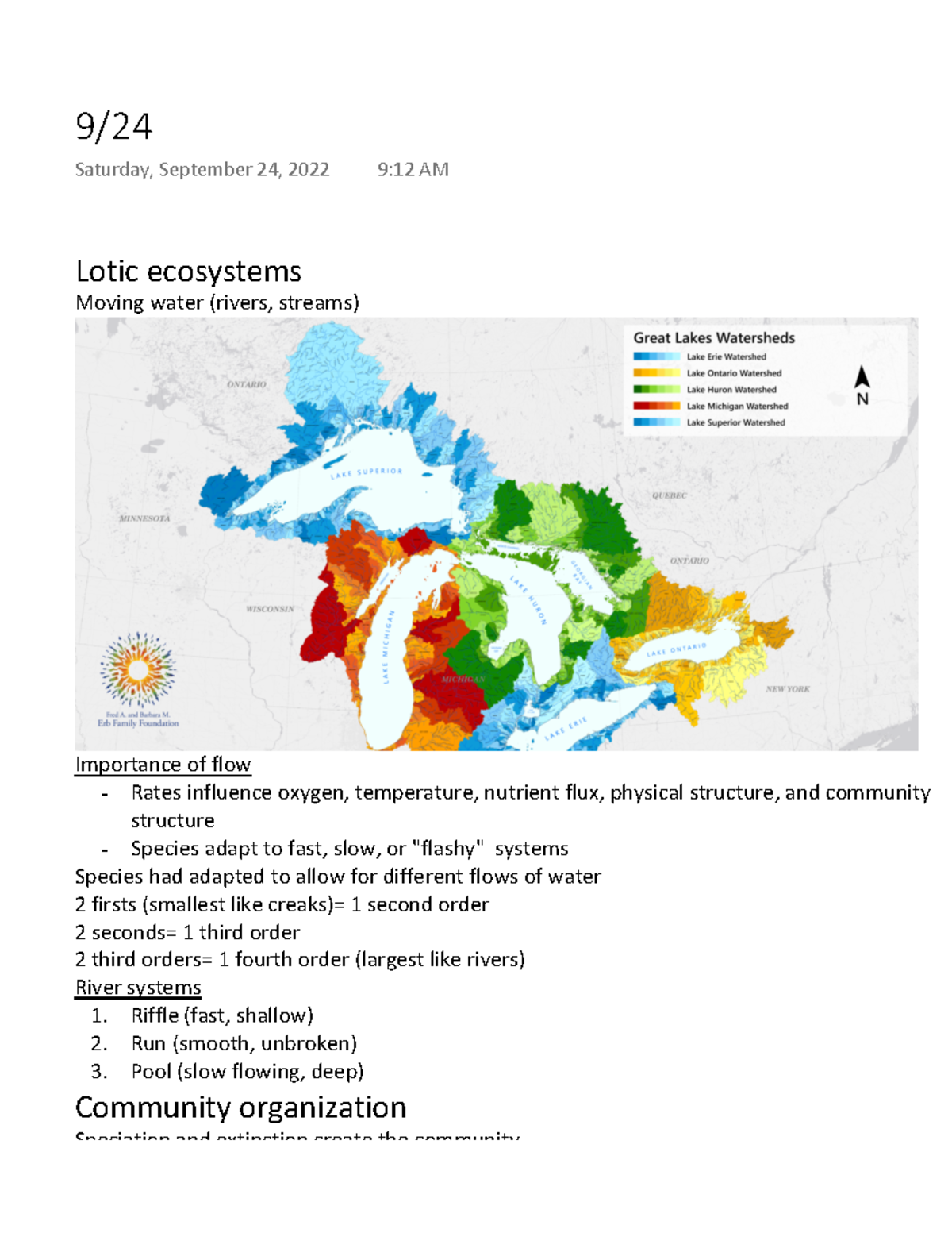 Lotic Ecostyems - Lotic ecosystems Moving water (rivers, streams ...