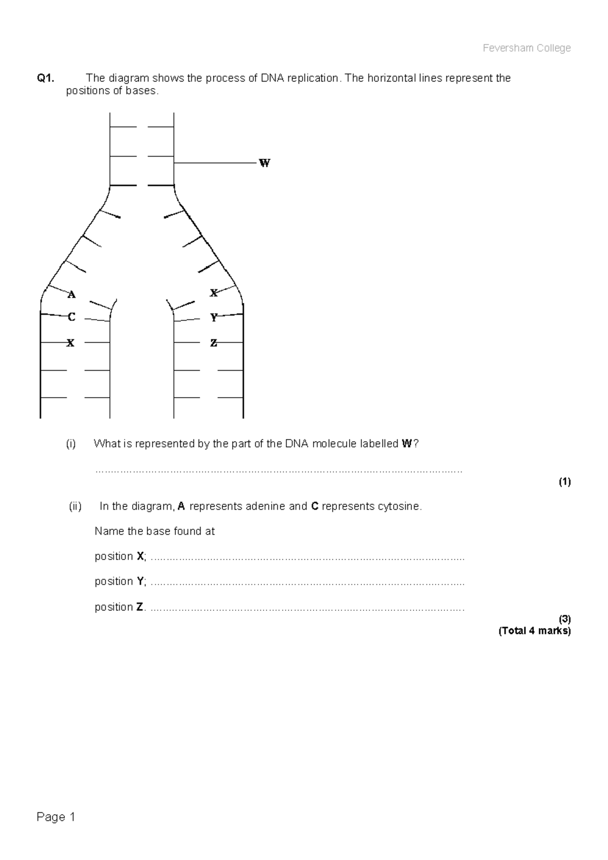 DNAand Replication-Exam-Qs - Q1. The diagram shows the process of DNA ...