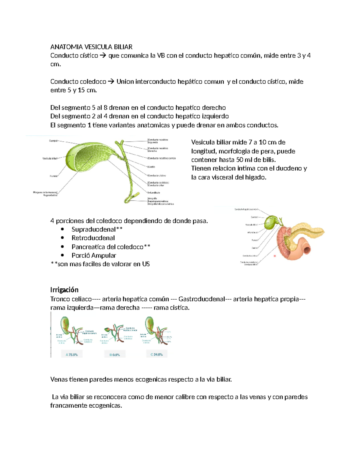 Resumen Vesicula Y VB - ANATOMIA VESICULA BILIAR Conducto cístico que ...