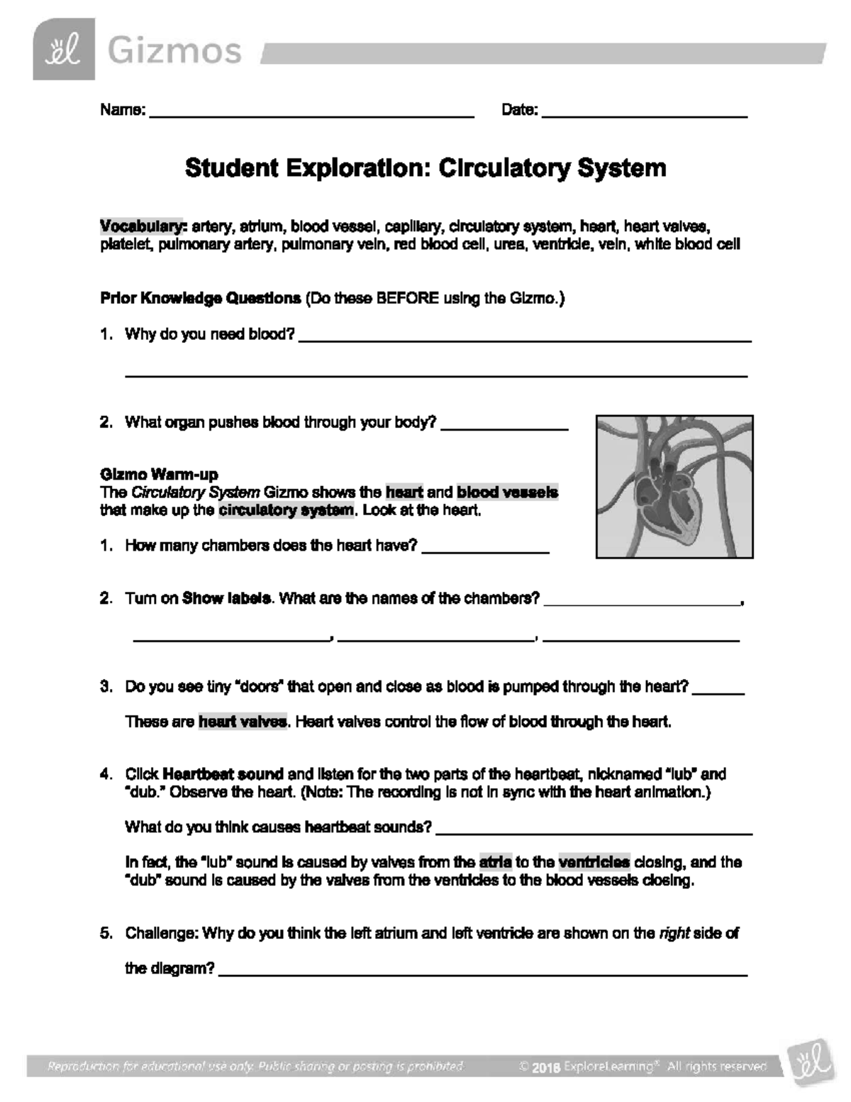 Circulatory System Gizmo Document for Practice - SNC1D - Studocu