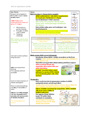 Promoter Recognition 1 - MGE 01- Core Promoter Architecture Key Points ...