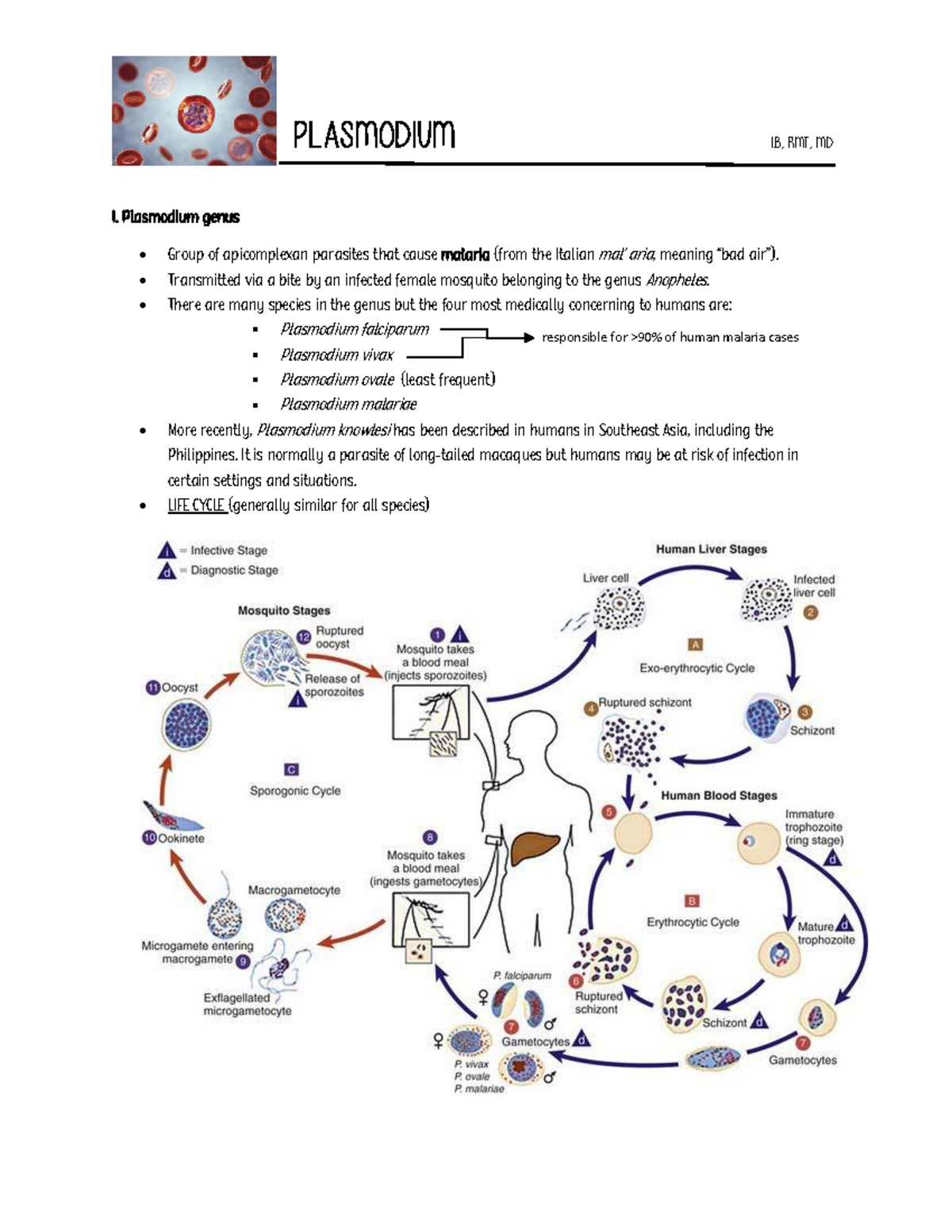 4 Plasmodium-Reading-Assignment copy - responsible for >90% of human ...