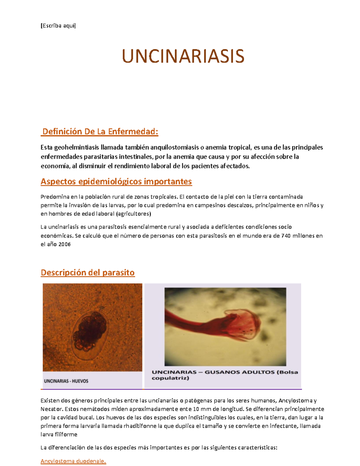 Uncinariasis - Resúmen - UNCINARIASIS DefiniciÛn De La Enfermedad: Esta ...