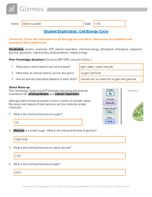 Catalase Enzyme Lab - Biology 1 Catalase Enzyme Lab Background: Liver ...