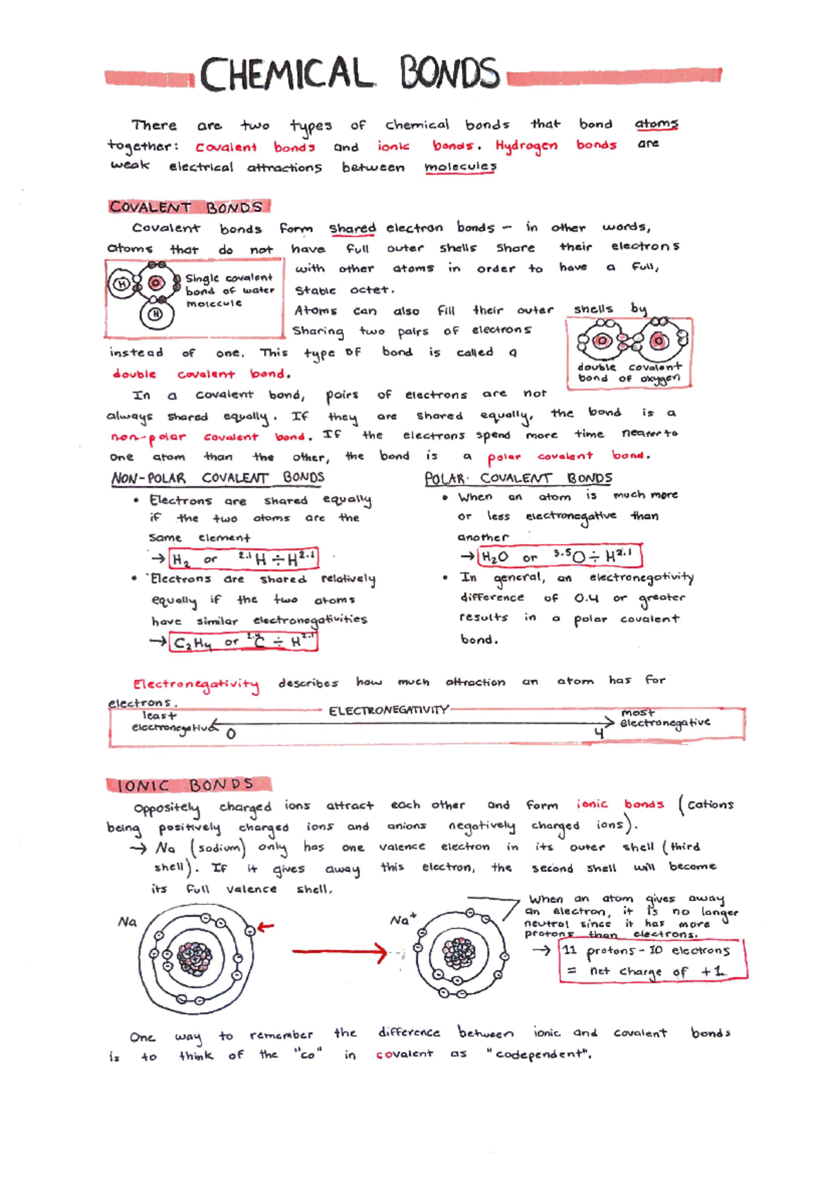 Biology 1111 - Chemical Bonds Summary - BIO 111 - Studocu