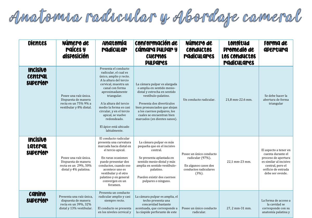 Anatomía radicular y abordaje cameral cuadro comparativo - Dientes ...