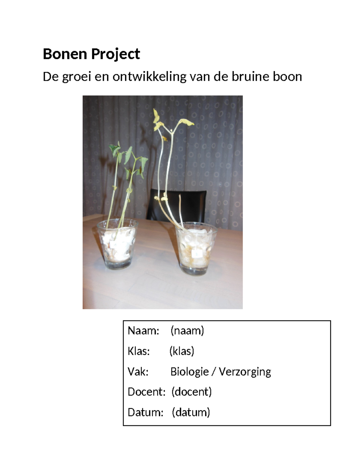 5a317310 e235c Bonen project - Bonen Project De groei en ontwikkeling ...