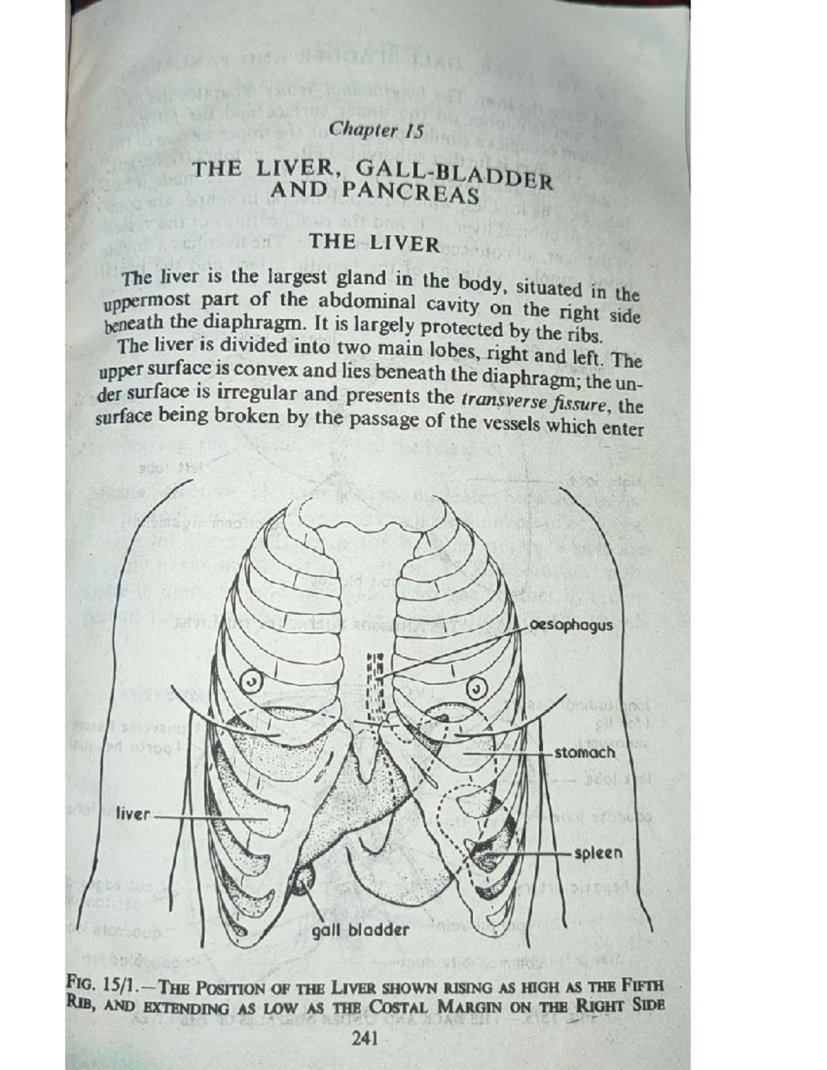 The liver, gall bladder and pancreas - General nursing midwifery - Studocu
