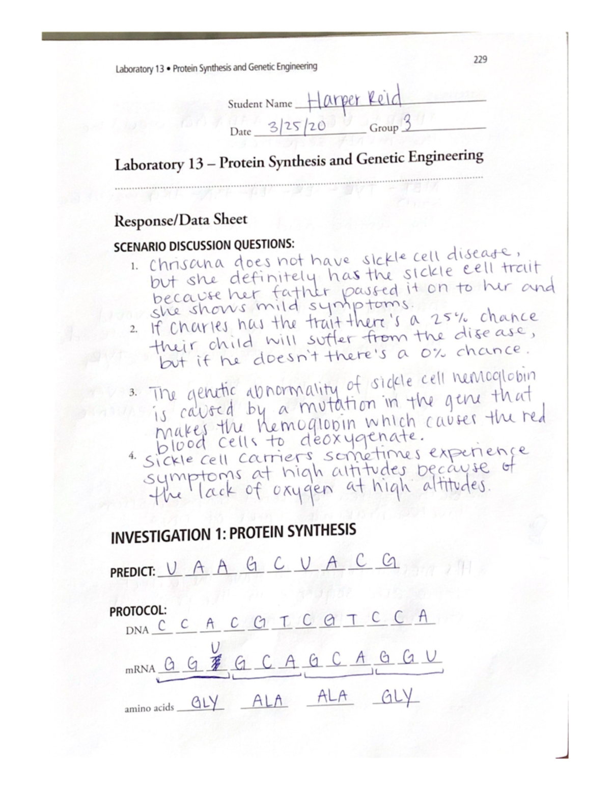 Laboratory 13 Protein Synthesis and Genetic Engineering - BIOL 100 ...