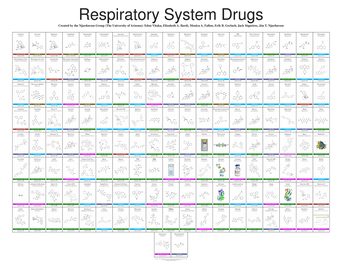 Respiratory System Drugs 3 - Respiratory System Drugs Created by the ...