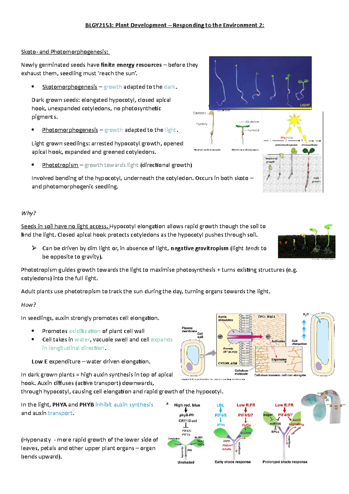3. Plant Development (Detecting the Environment) - BLGY2153: Plant ...