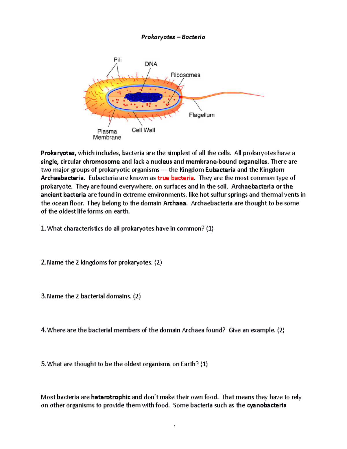 2. Bacteria worksheet 2 - Prokaryotes – Bacteria Prokaryotes, which ...