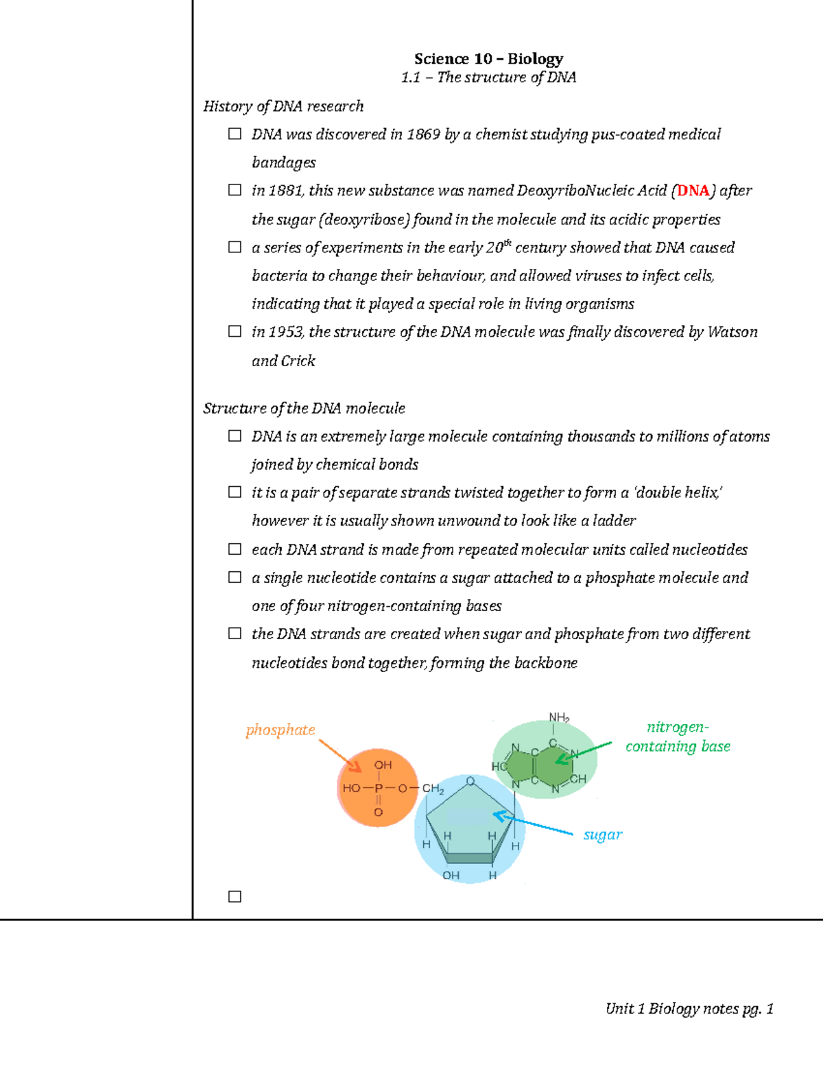 Biology Notes complete 17 - 1 – The structure of DNA History of DNA ...