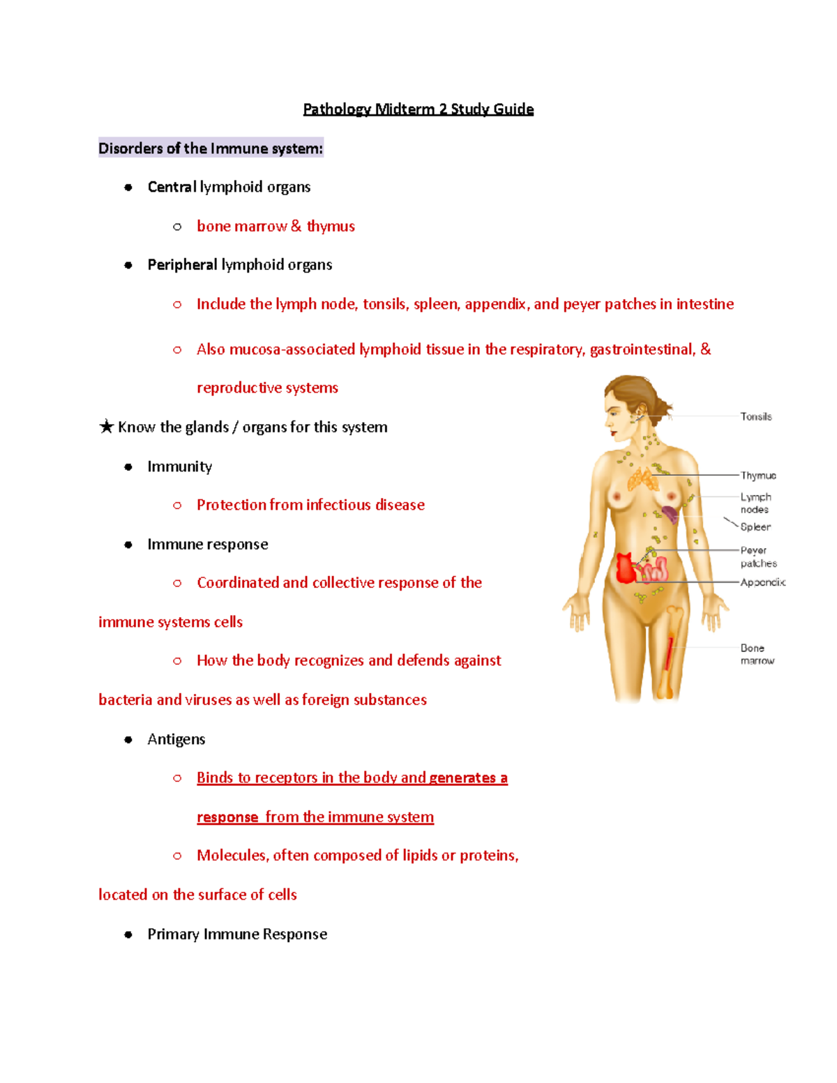 Pathology Midterm 2 Study Guide - Pathology Midterm 2 Study Guide Disorders of the Immune system ...