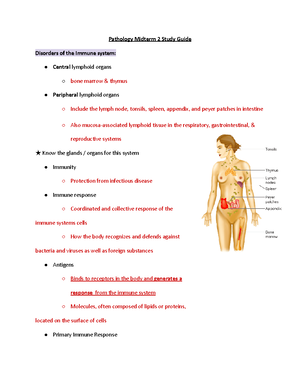 Pathology 3 28 - Class notes - Cell cycle control system External ...