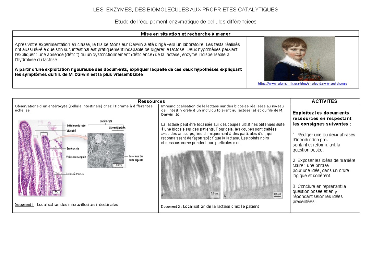 1ère spé svt cours 2 -enzymologie - LES ENZYMES, DES BIOMOLECULES AUX ...