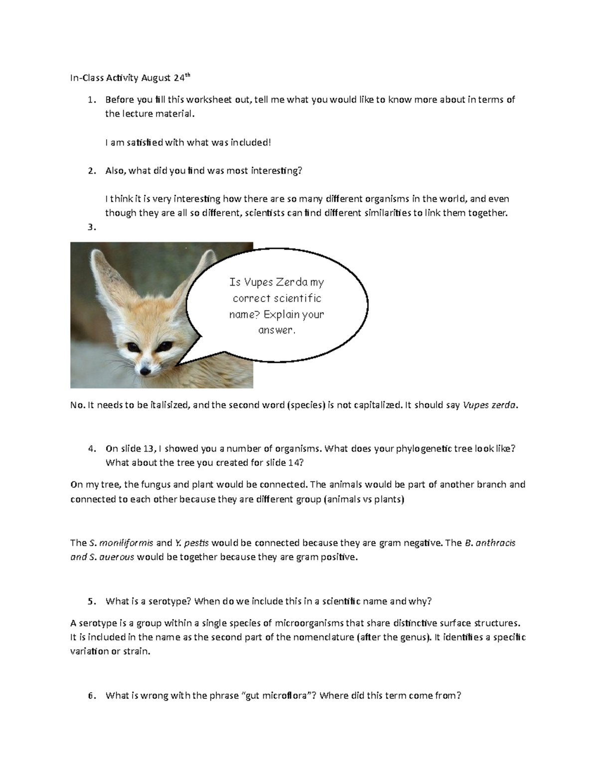 In-Class Assignment February 1st - In-Class Activity August 24th Before ...