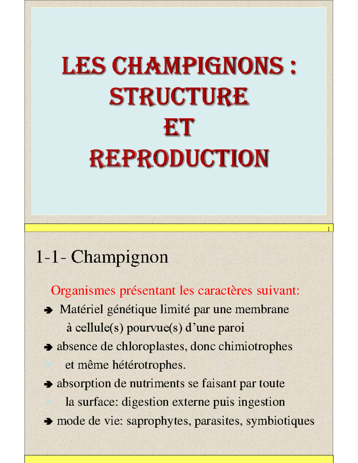 SVT-2 3 Eléménts de Mycologie S2 SVI-SVT Bio - 1 Les champignons ...