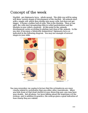 Lab 5 Annelid Lab - Worksheet for zoology - Segmented Worms Phylum ...