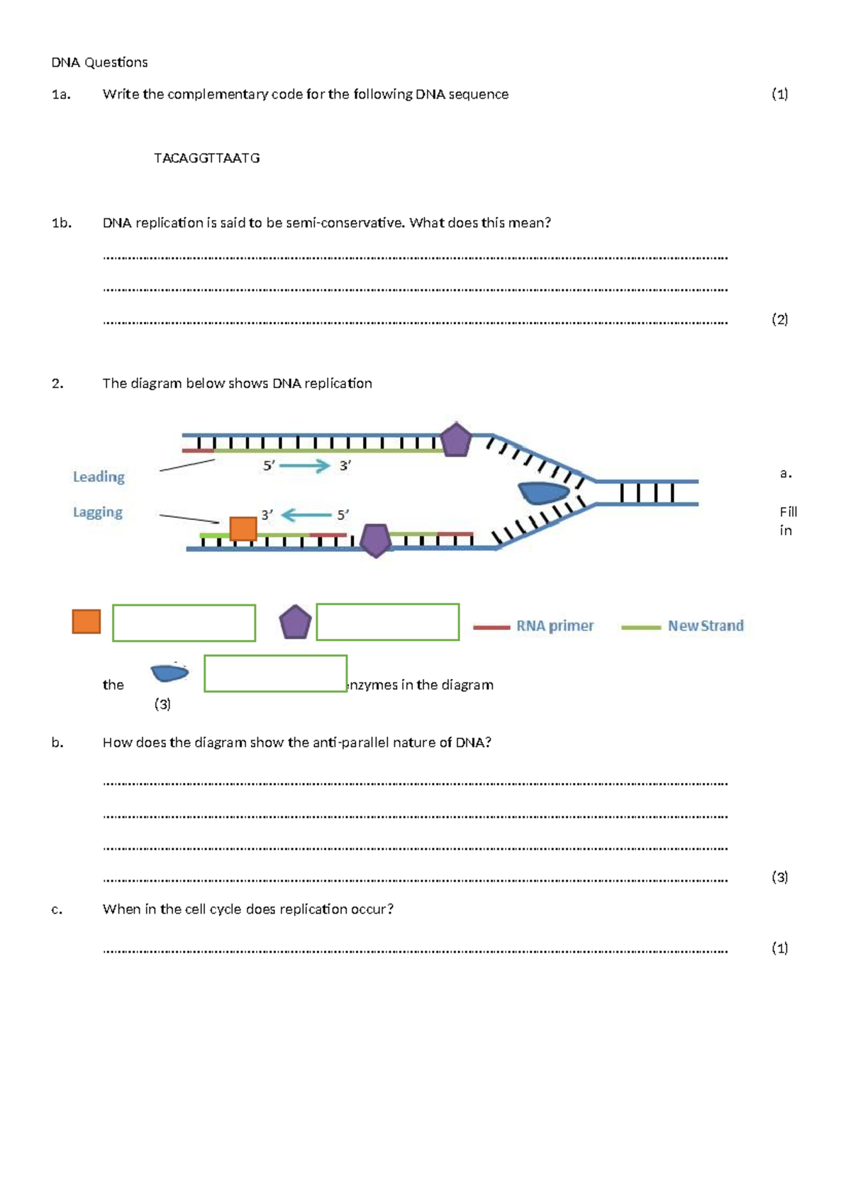 DNA Replication Questions 2014 corrected - DNA Questions 1a. Write the ...