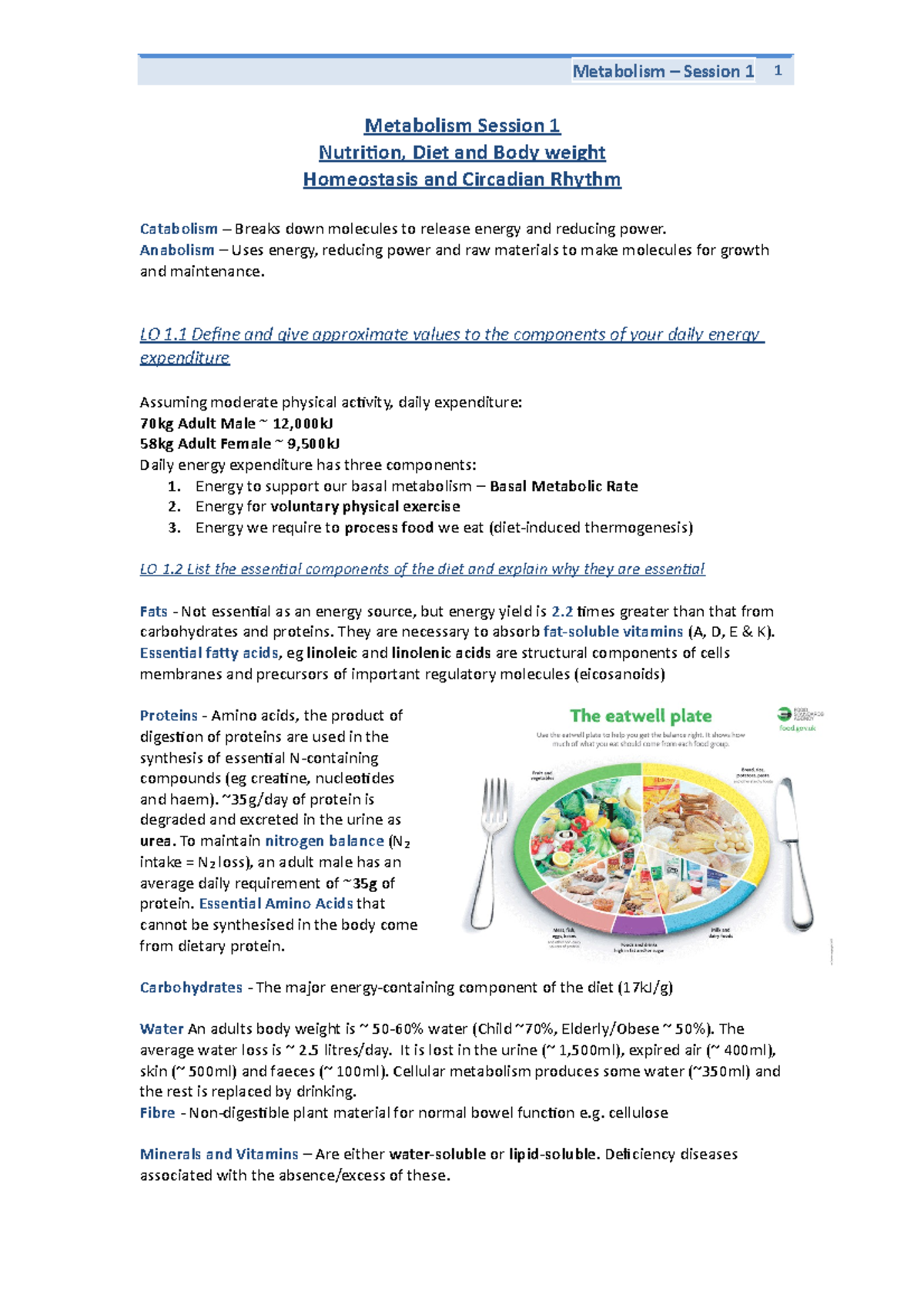 Metabolism - Session 1 - Nutrition basics, Homeostasis - Metabolism ...