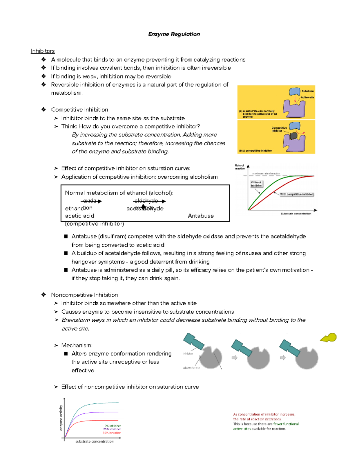 04 - Enzyme Regulation - Notes - Enzyme Regulation Inhibitors A ...