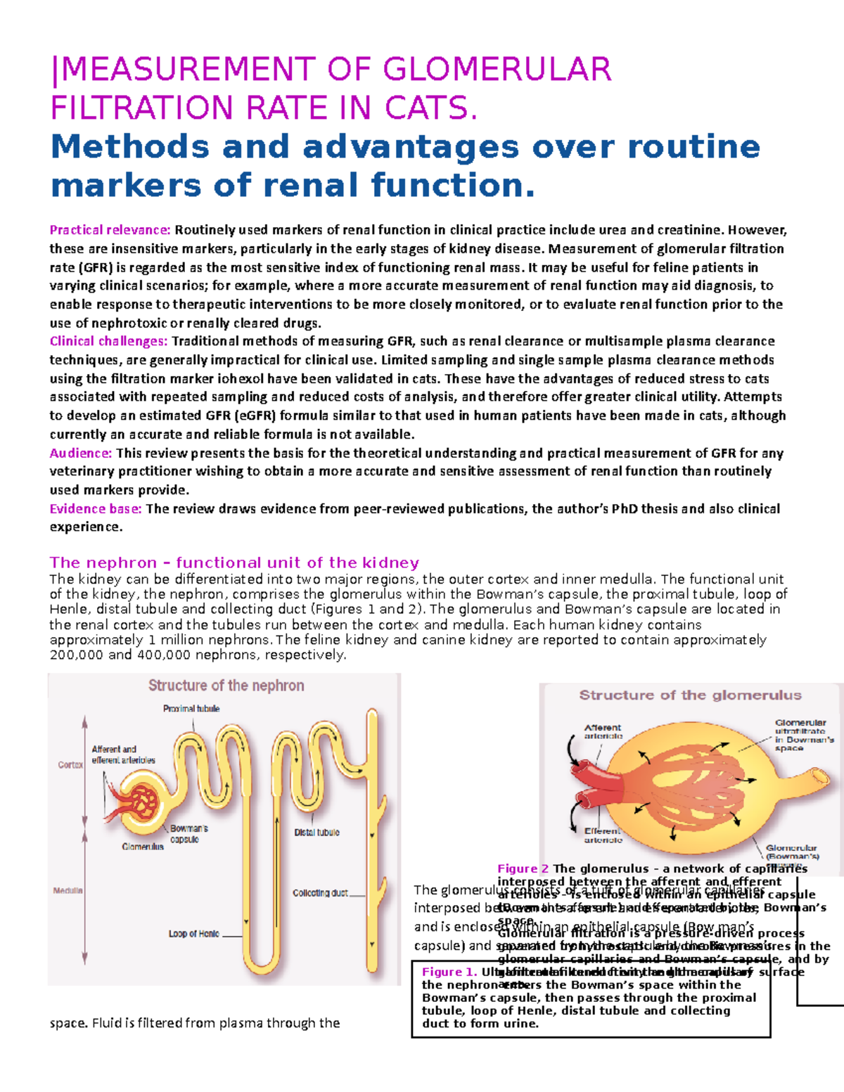 An overview of glomerular filtration rate testing in dogs and cats – PZGI