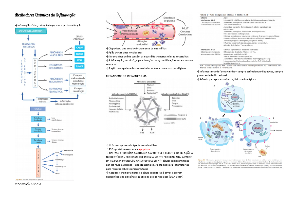 Mediadores Químicos da Inflamação - Mediadores Químicos da Inflamação → ...