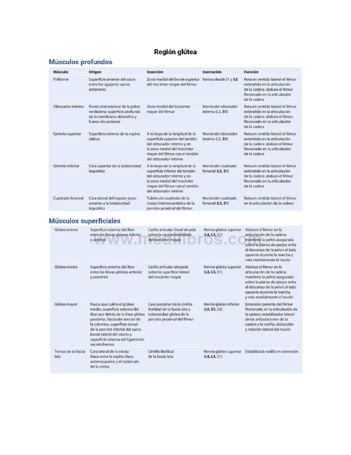 Origenes e inserciones - Músculos profundos Músculo Piriforme Obturador ...