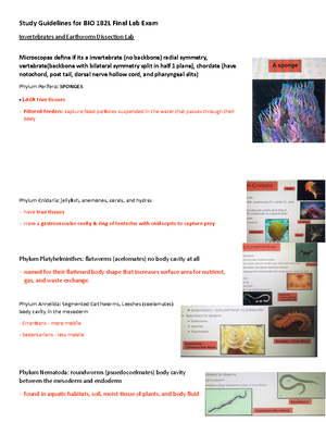 Bio182-02.01-worksheet Bacteria Protists - Bacteria, Archaea, and ...