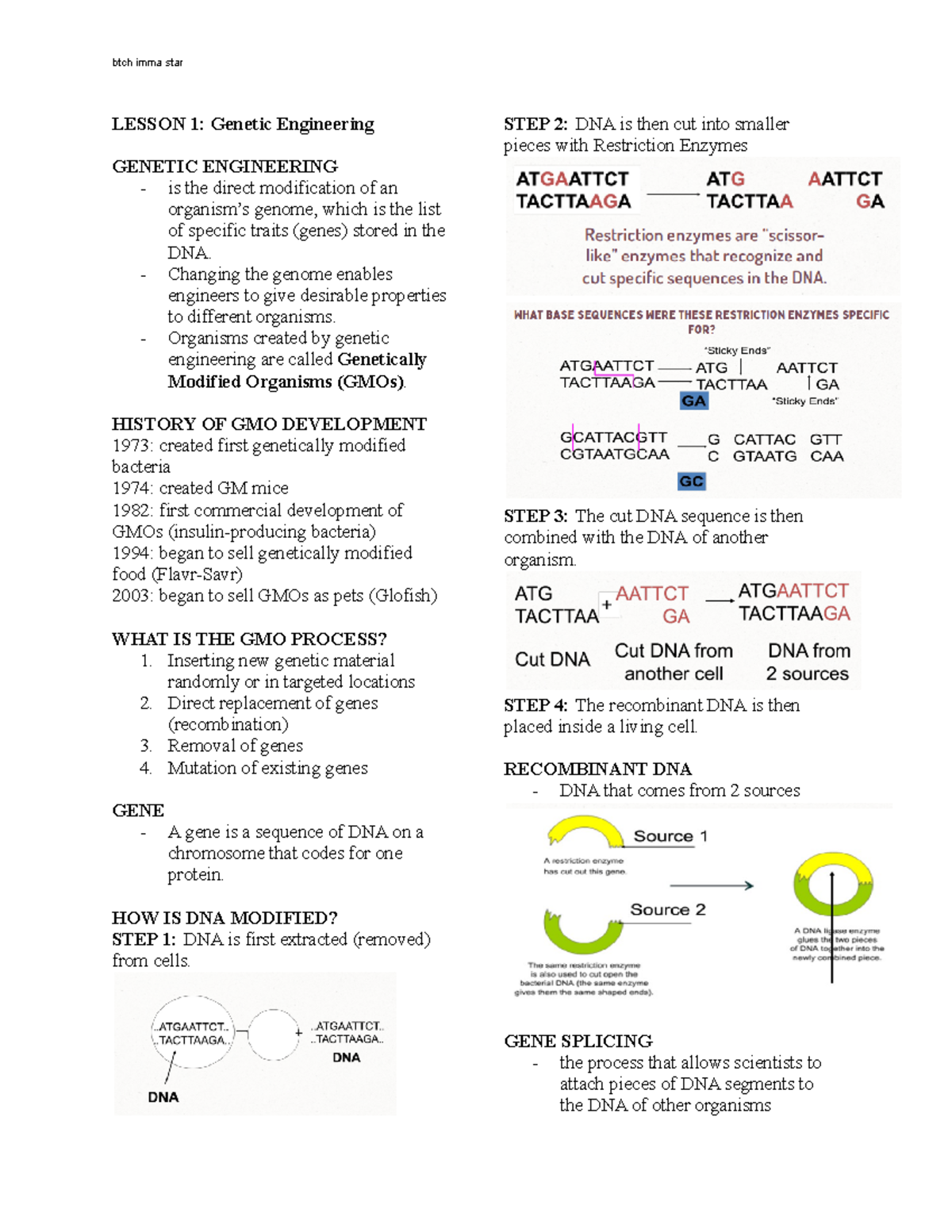 Genbio- Reviewer-1 - Bio reviewer for exams - LESSON 1: Genetic ...