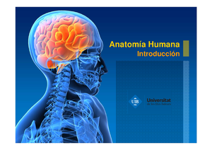 Guía de laboratorio 1 Macroanatomía - Objetivos específicos Contenido 1 ...