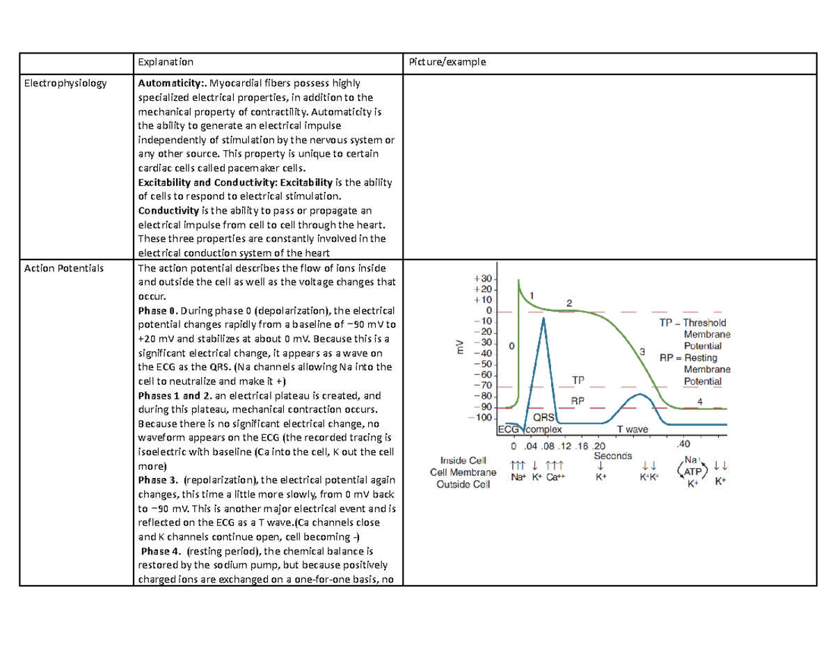 My EKG Notes - learning EKG patterns and waves - Explanation Picture ...
