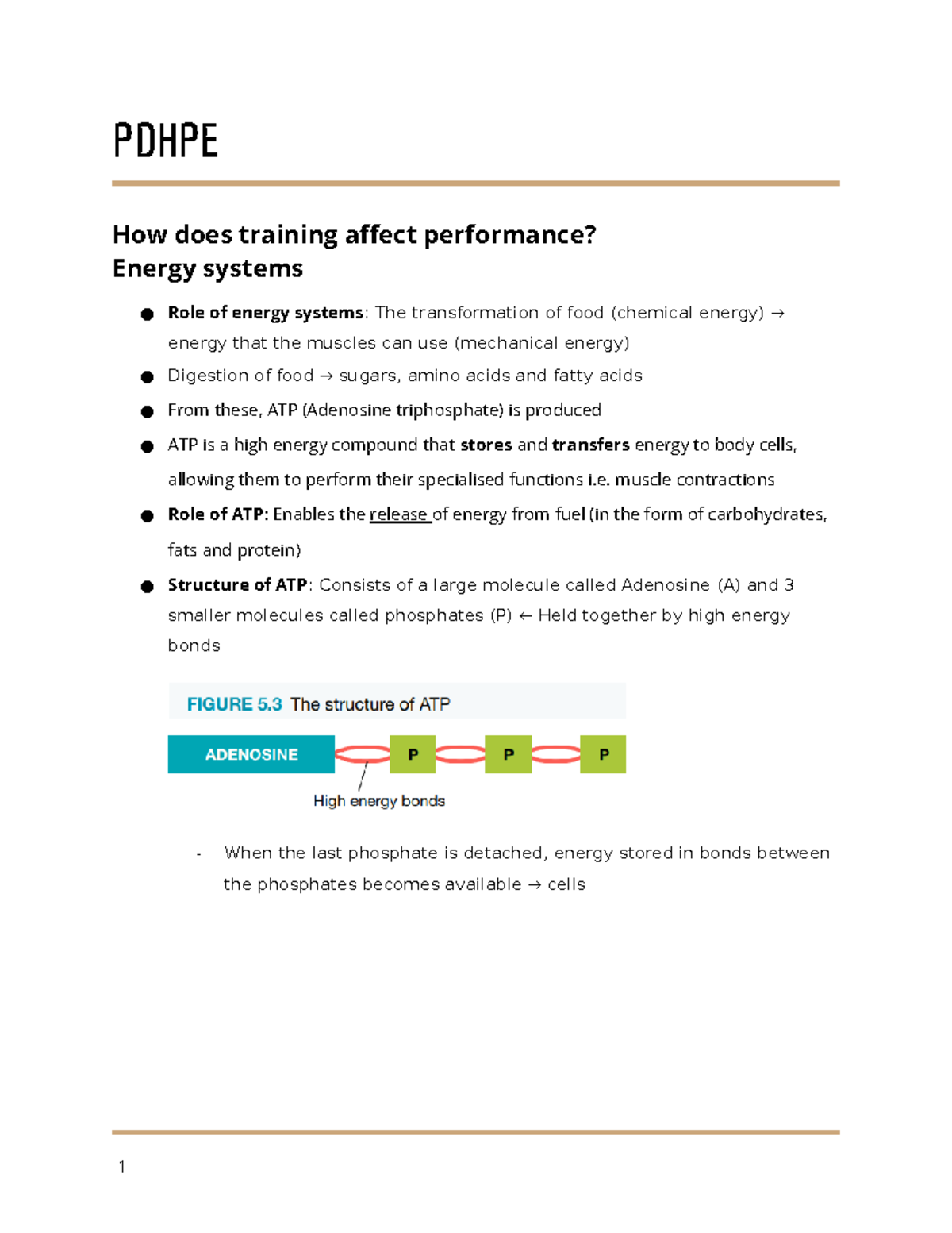 How does training affect performance? Energy systems - Studocu