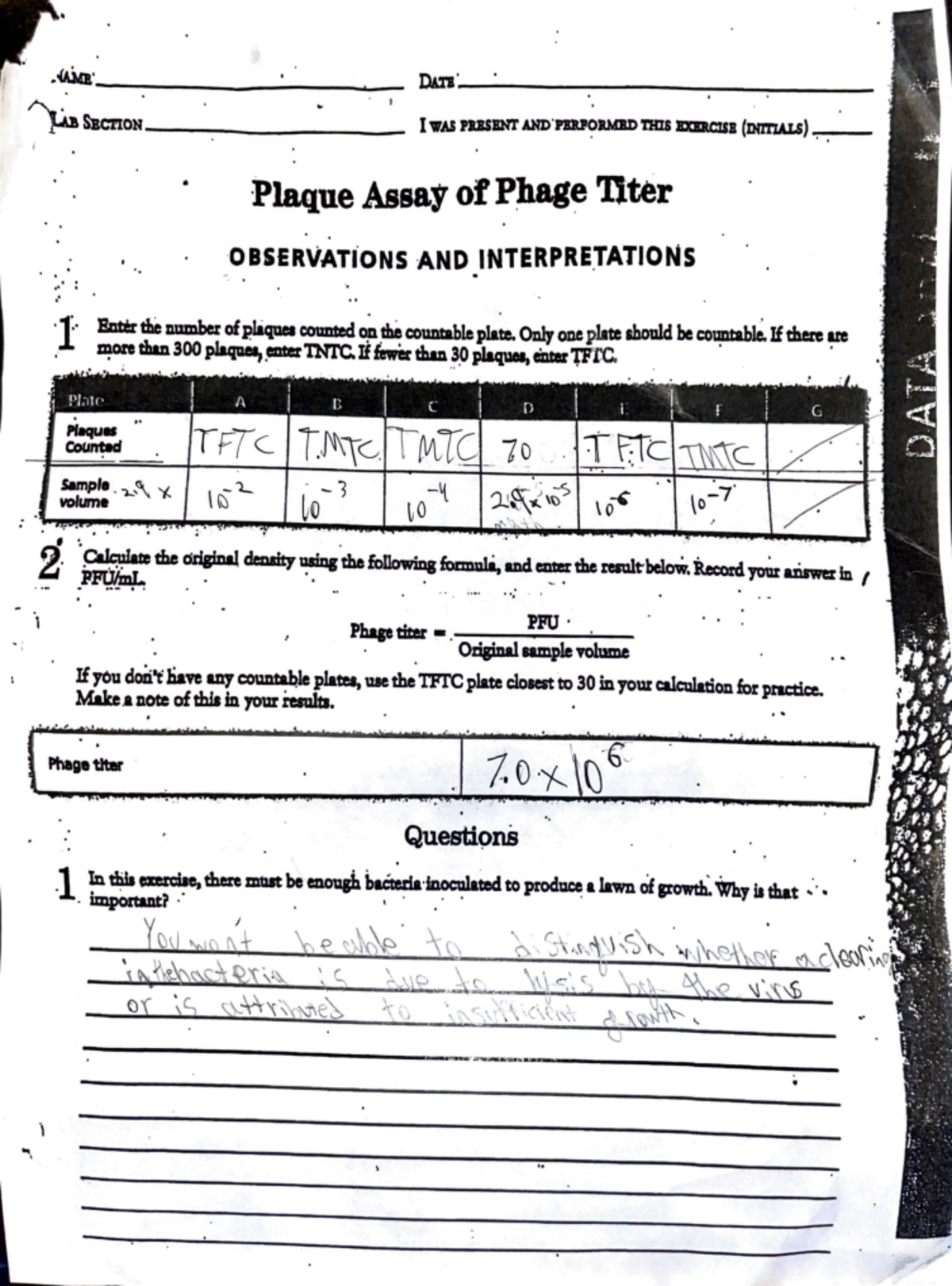 Lab homework 5 - . -. D'B' . hcnoN_______ lw PUSINT AND'PlllP~llMBD'l ...