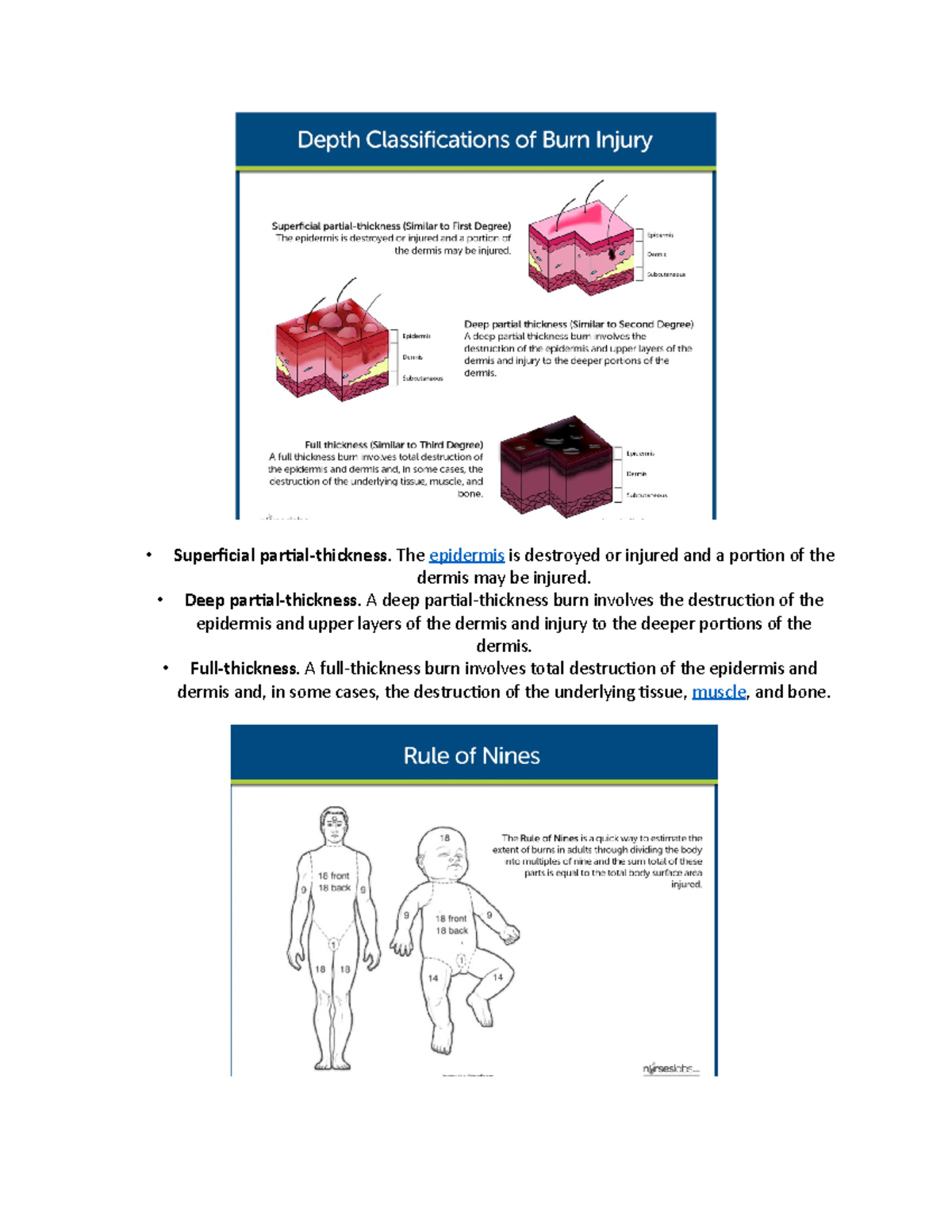 Burns - Superficial partial-thickness. The epidermis is destroyed or ...