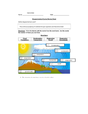 Copy of Freedom Synthesis Essay Outline Template - Freedom Synthesis ...