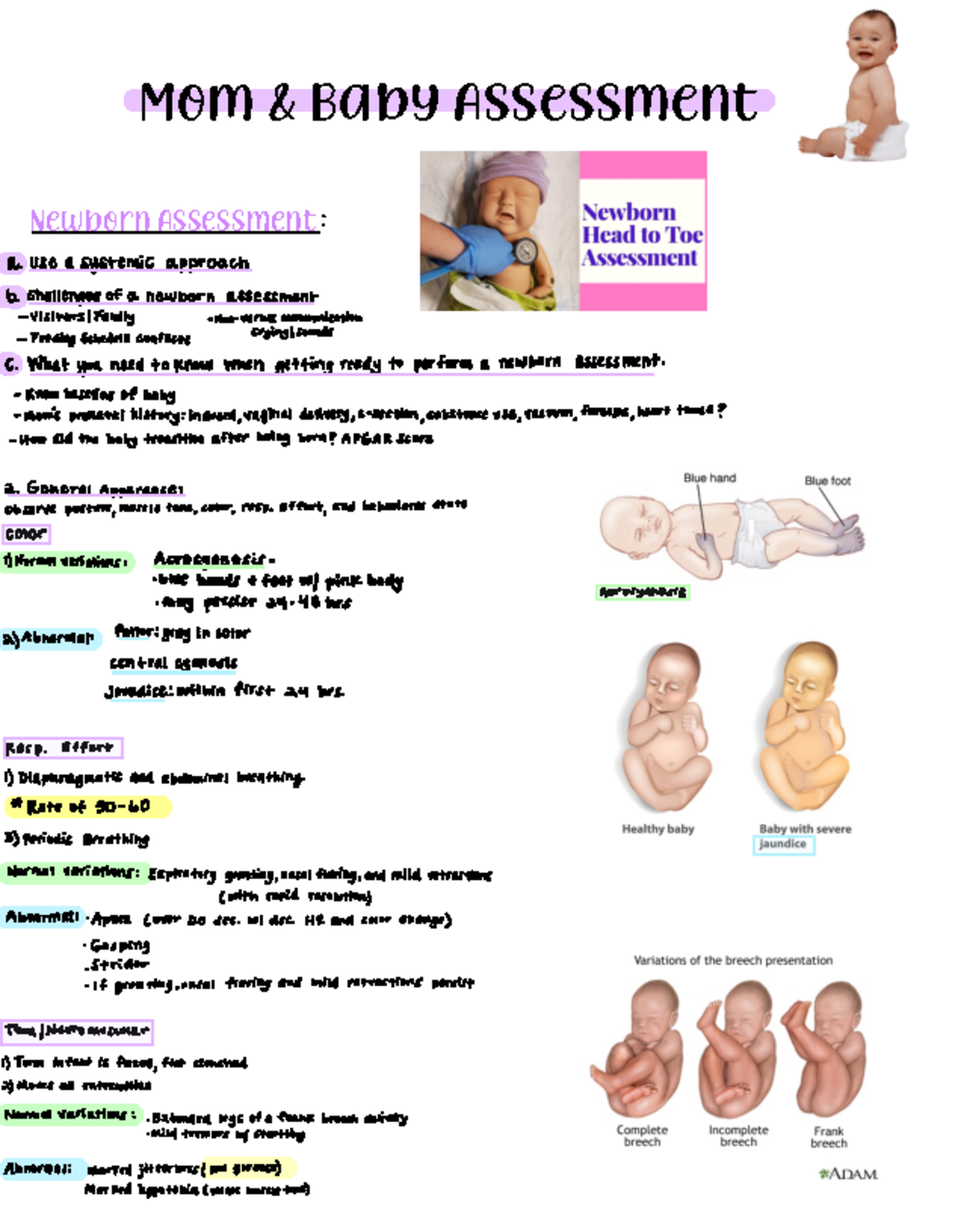 1 Mom Baby Assessment - Htthgjjg - Mom & Baby Assessment Newborn ...